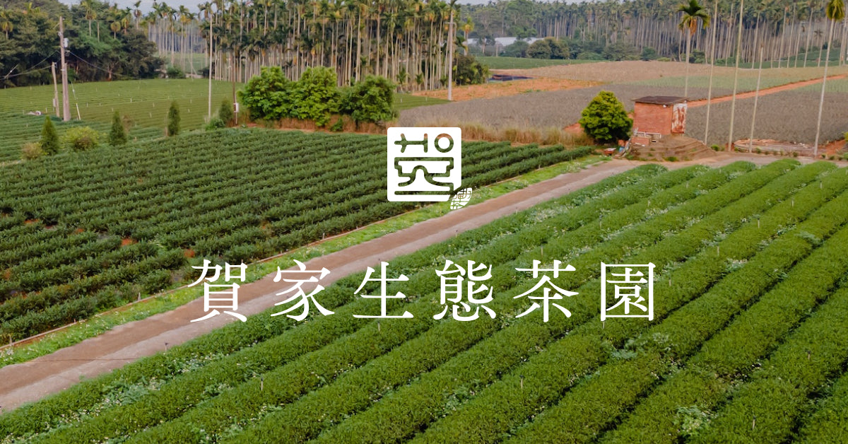Hejia Ecological Tea Garden｜Healthy and environmentally friendly tea ...